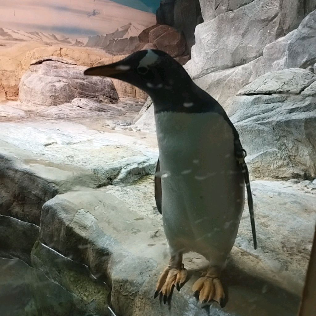 Иконка канала Михаил