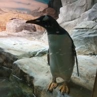 Иконка канала Михаил