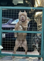 Иконка канала SKRIPWOOD