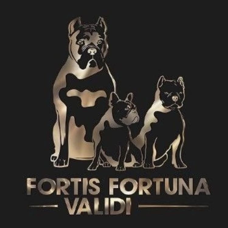 Иконка канала Питомник FORTIS FORTUNA VALIDI