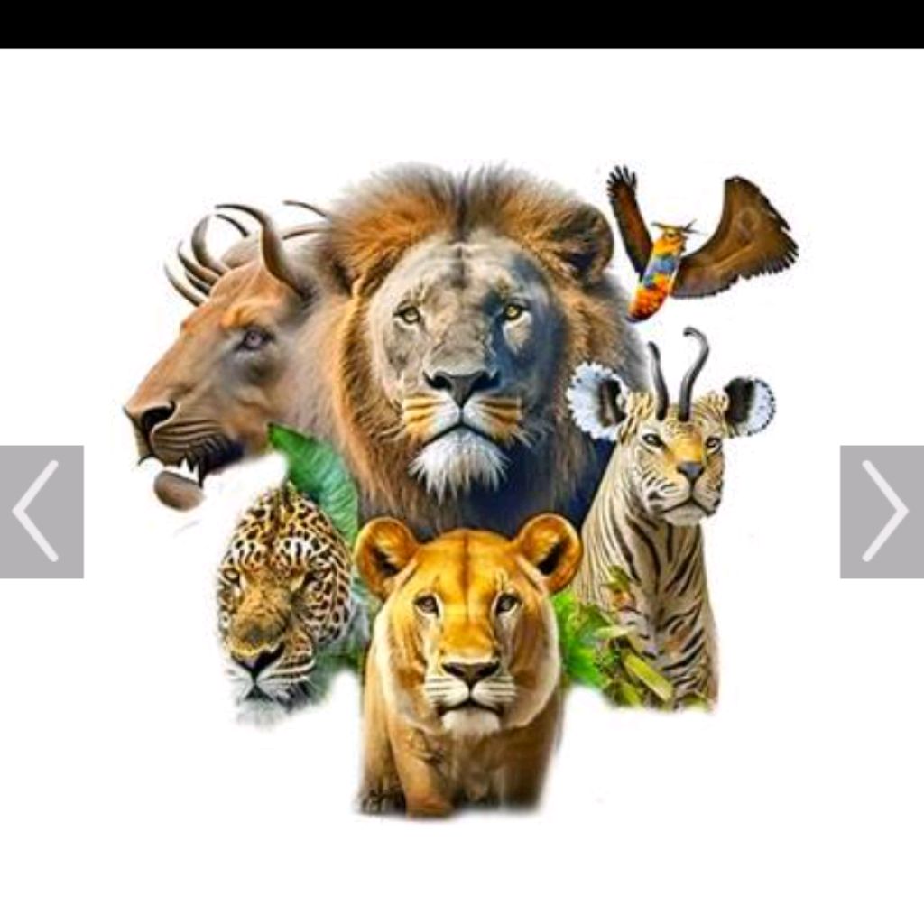 Иконка канала Спасибо большое