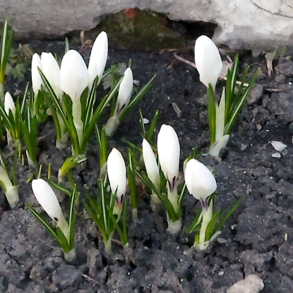 Иконка канала Сельские будни многодетной матушки