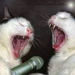 Иконка канала Гончаренко Николай