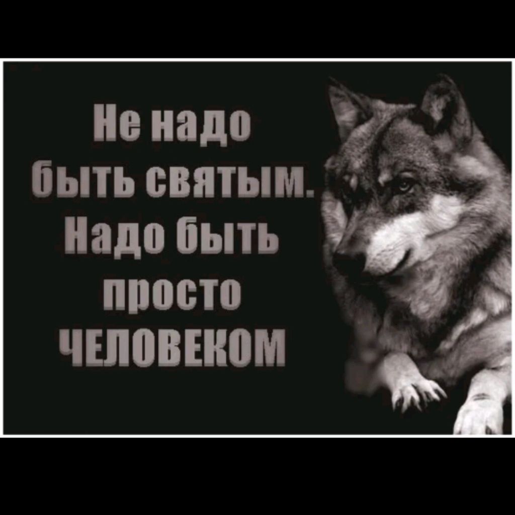 Иконка канала Богатырь Сибири