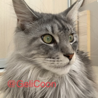 Иконка канала 🤗