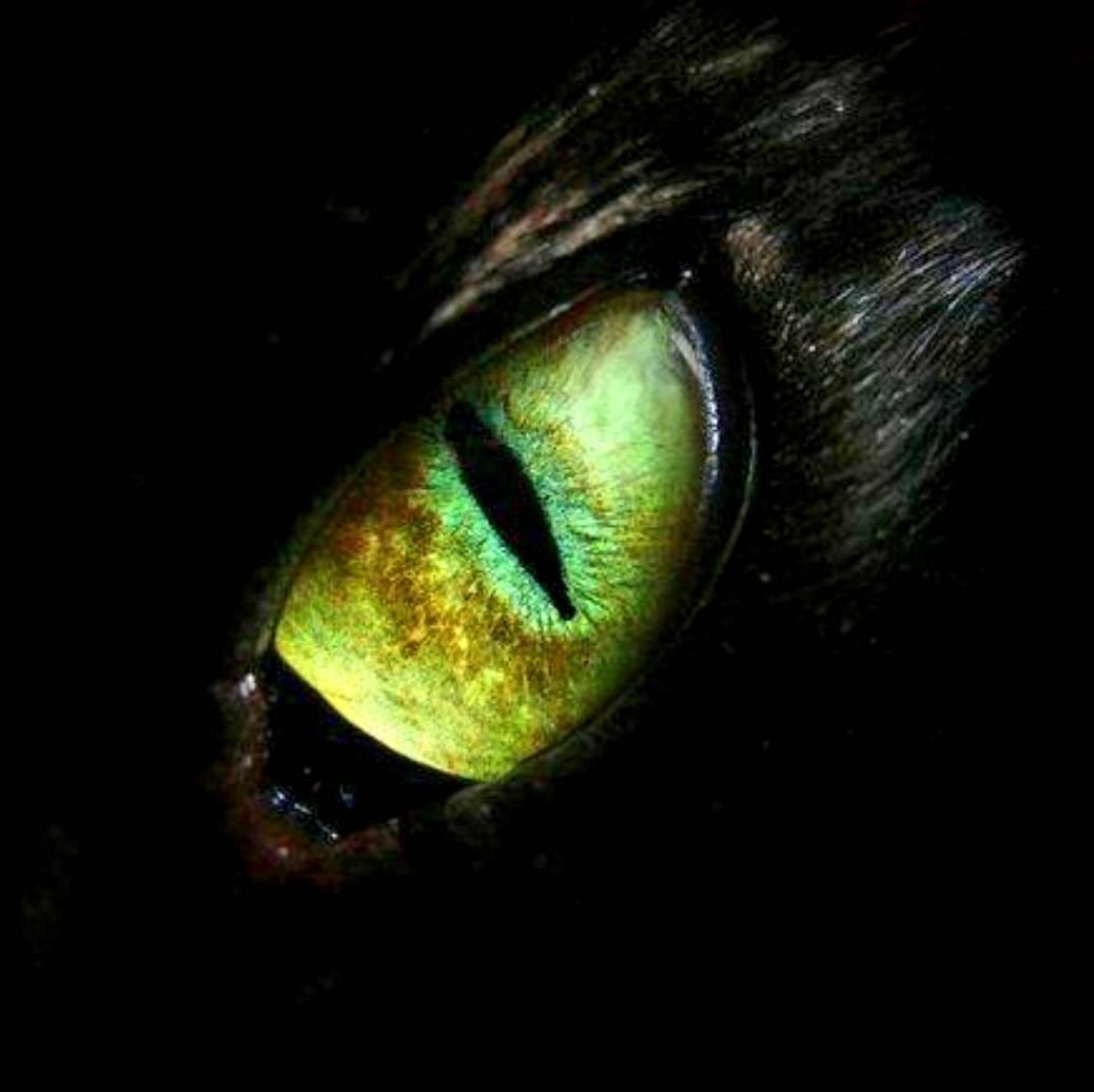 Иконка канала Just a song