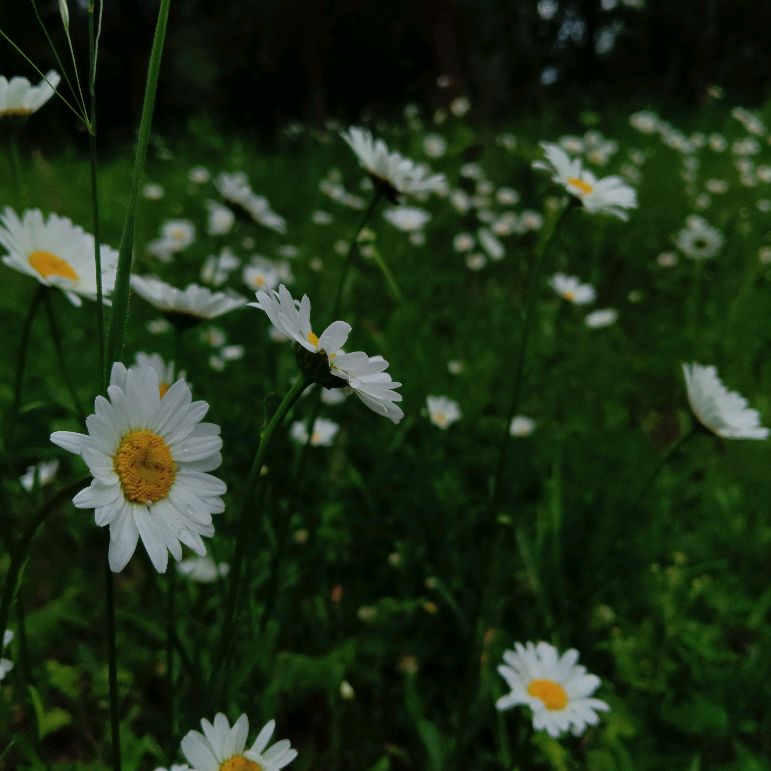 Иконка канала ПРИКОЛЫ ТОМЧИКА