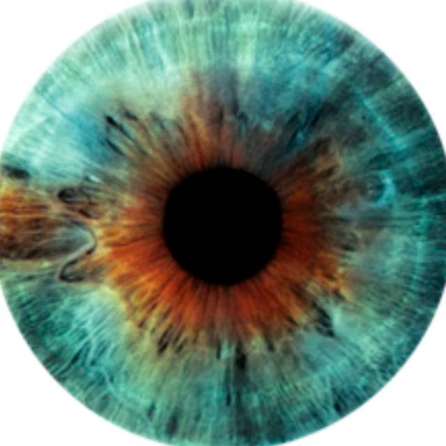 Иконка канала EKATHEARTIST