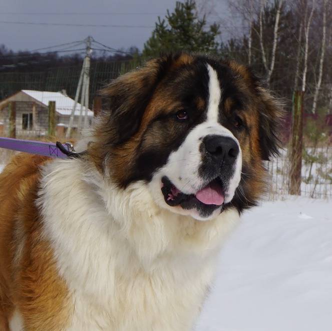 Иконка канала Ragana Life