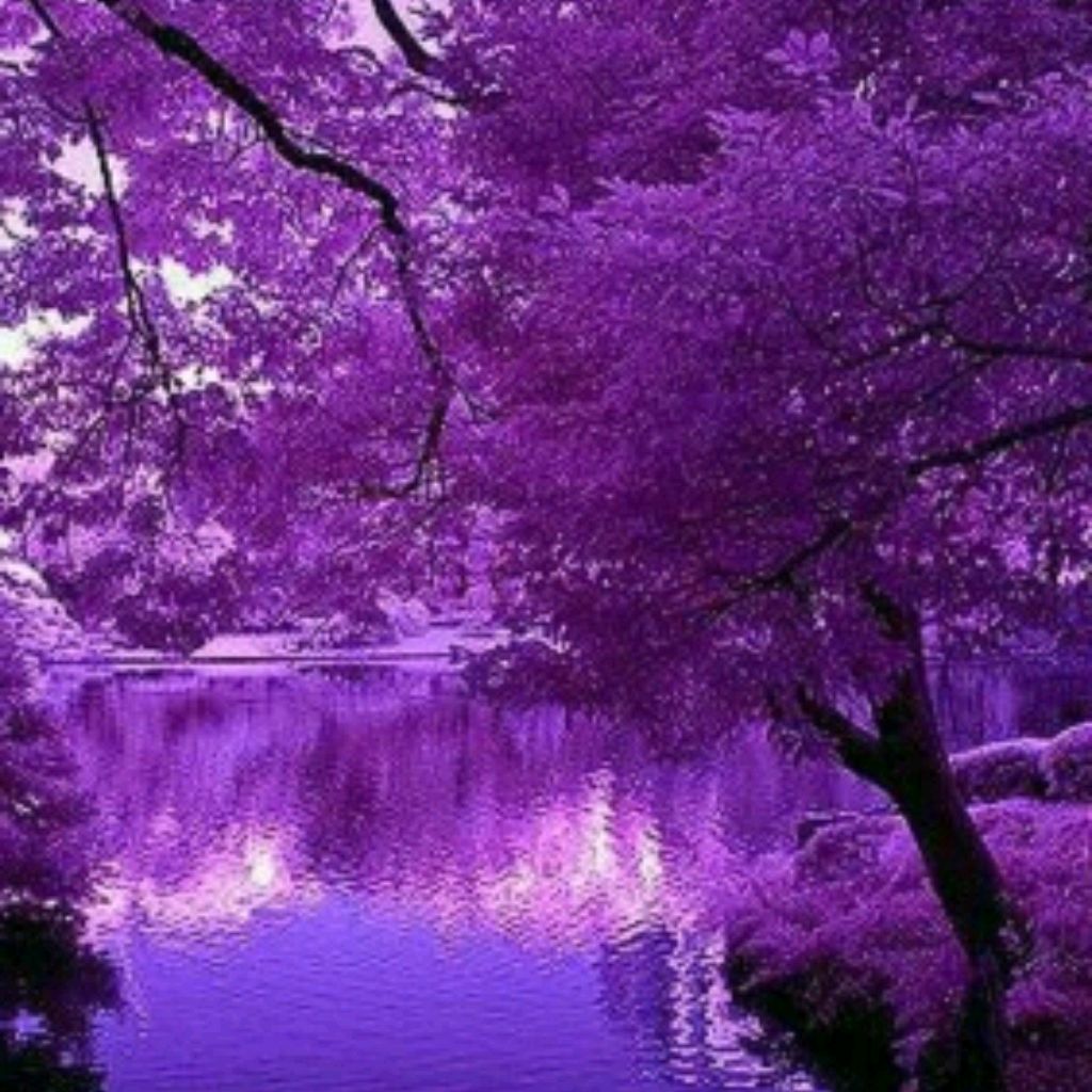 Иконка канала Ксюша лайк