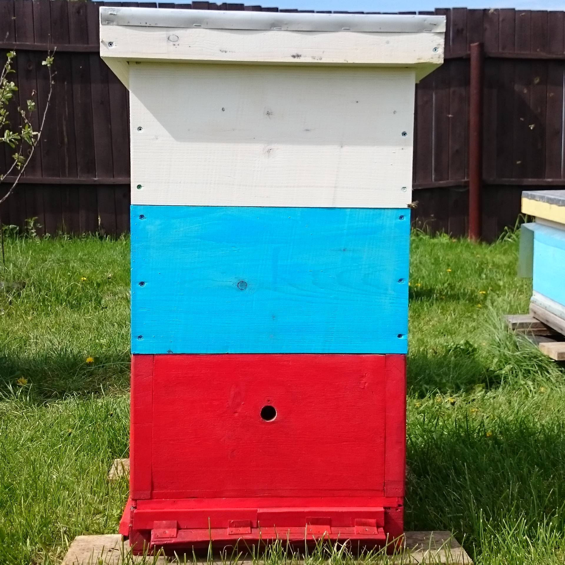 Иконка канала Сибирский пчелоблог