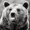 Иконка канала Moveton