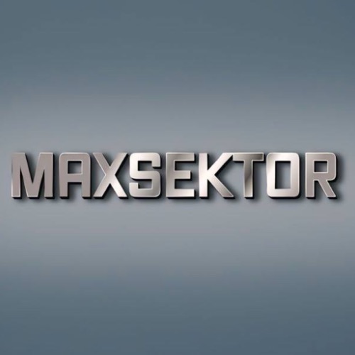 Иконка канала MAXSEKTOR