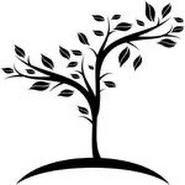 Иконка канала Смоленский кедр