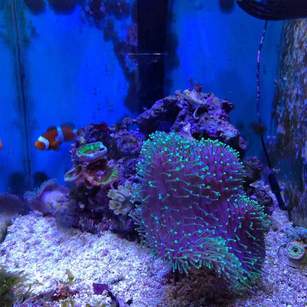 Иконка канала Alexander