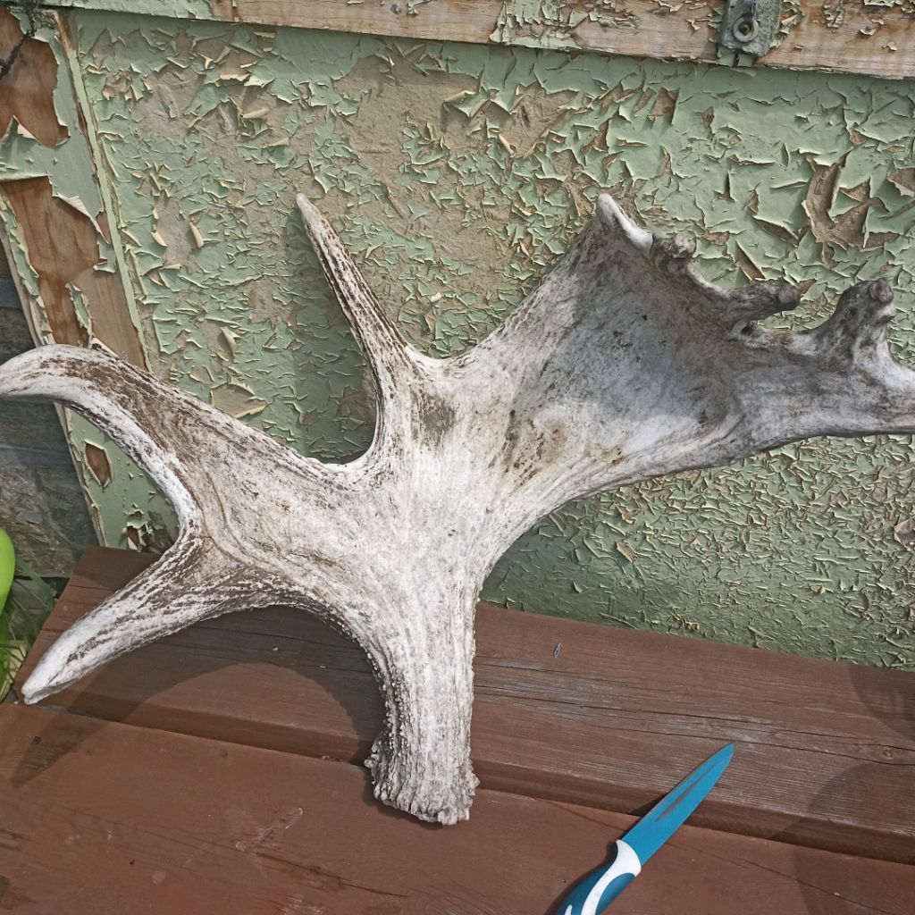 Иконка канала channel39362860