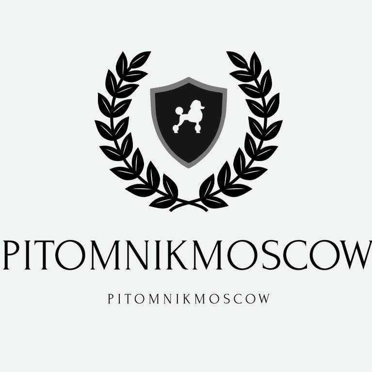 Иконка канала PitomnikMoscow