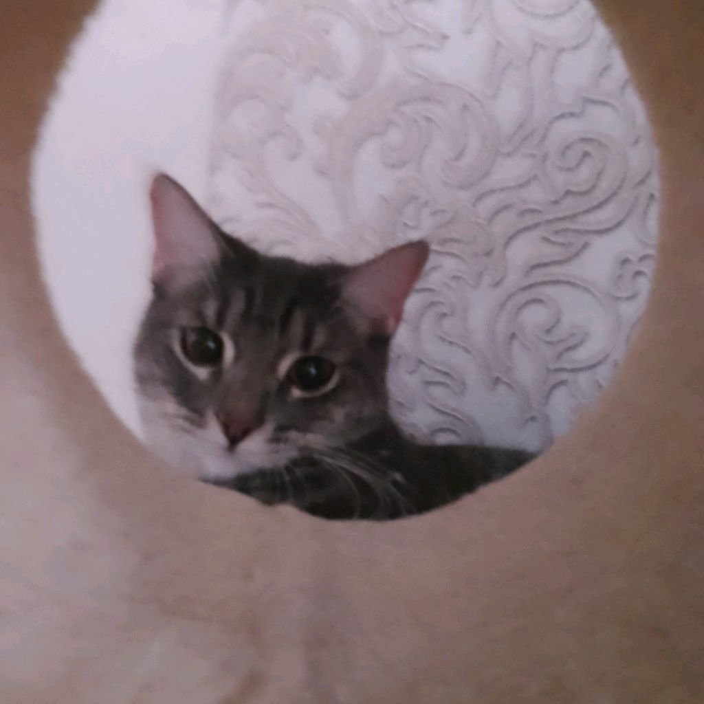 Иконка канала Kirill