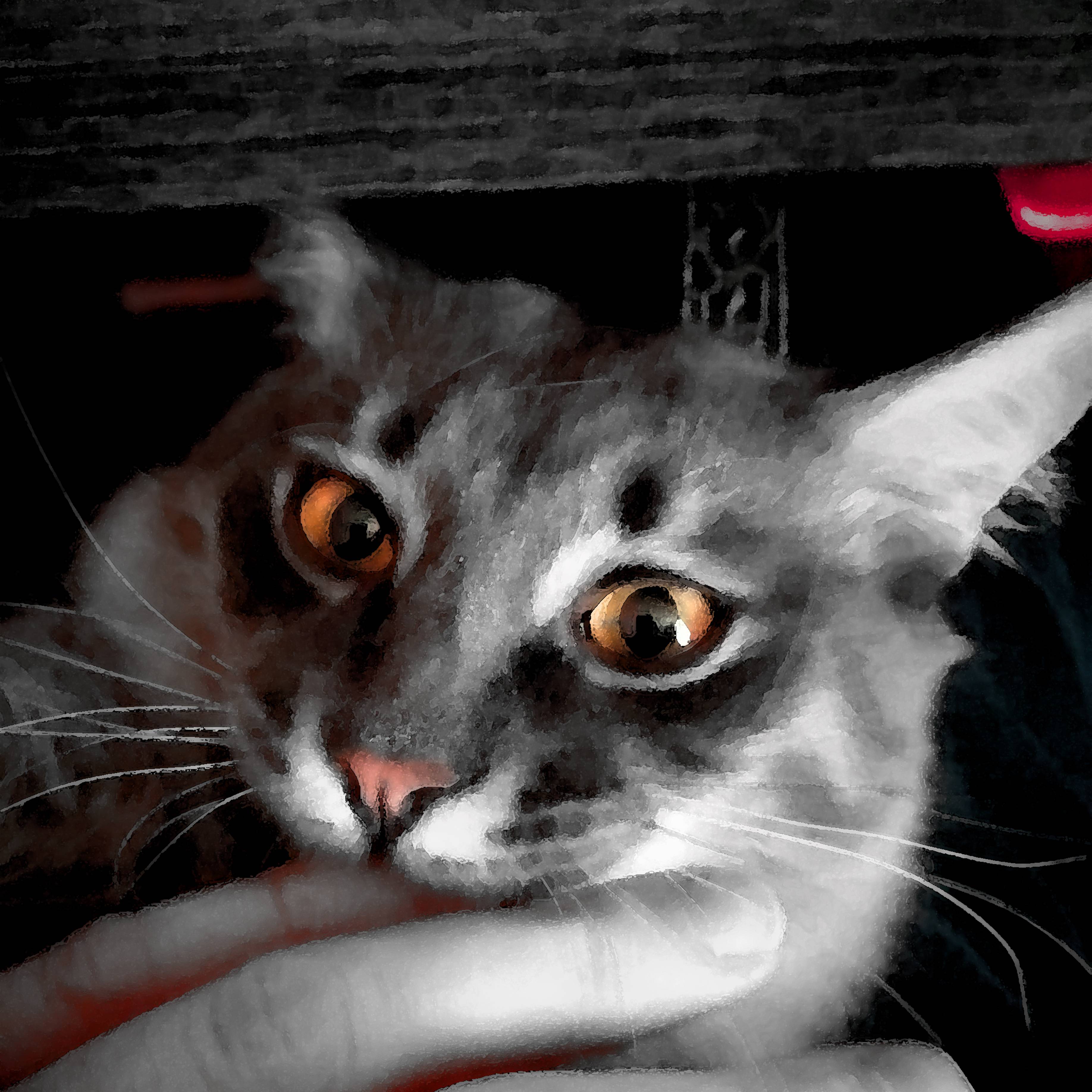 Иконка канала Neural-madness