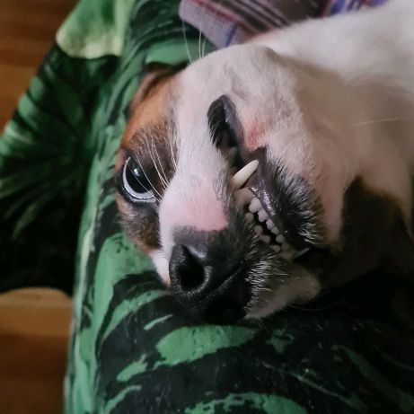 Иконка канала Делай добро Бро