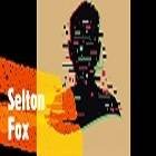 Иконка канала Selton Fox