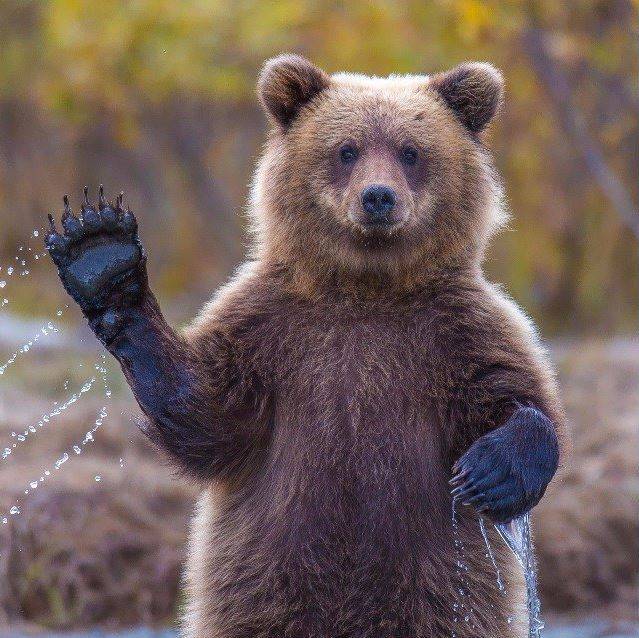 Иконка канала Евген