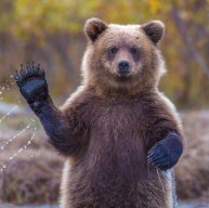 Иконка канала Евген