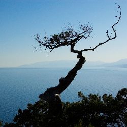 Иконка канала АндрейМН