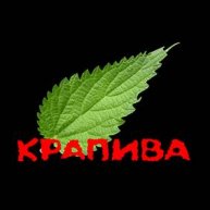 Иконка канала Канал Крапива