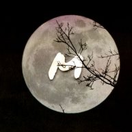 Иконка канала МИСТИКА
