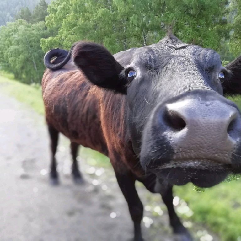 Иконка канала Iroshnikov-vyacheslav