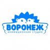 Иконка канала Анимационная студия Воронеж