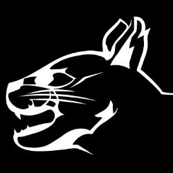 Иконка канала Madсat Customs