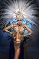 Иконка канала showballetluxurywomen