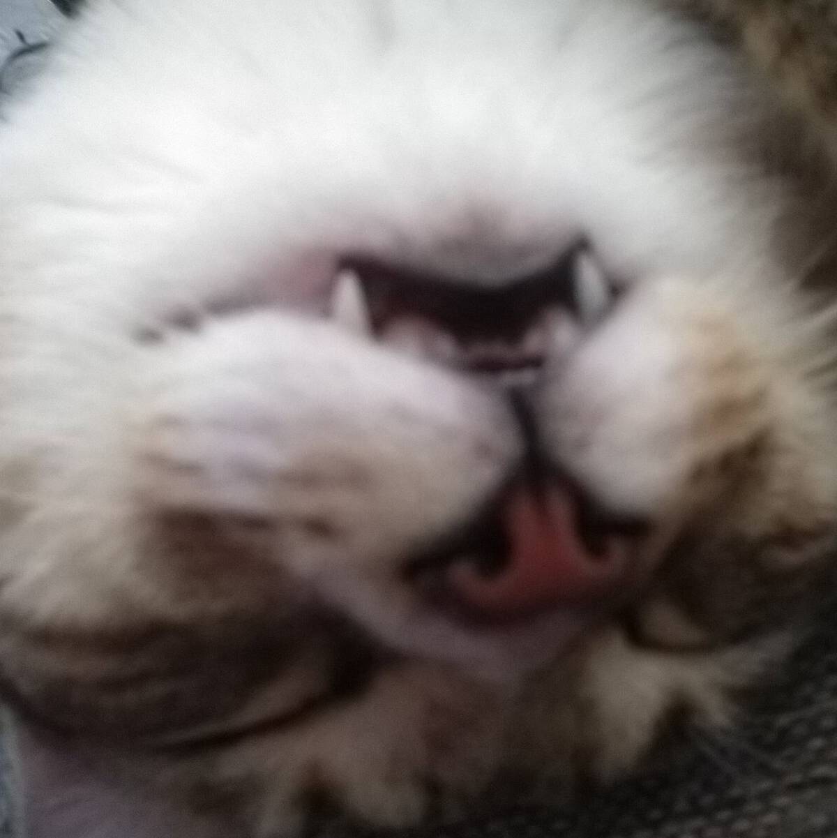 Иконка канала Всё о монетах и не только)))