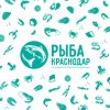 Иконка канала РЫБА КРАСНОДАР