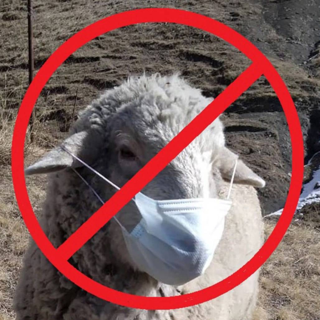 Иконка канала Свободный человек без маски