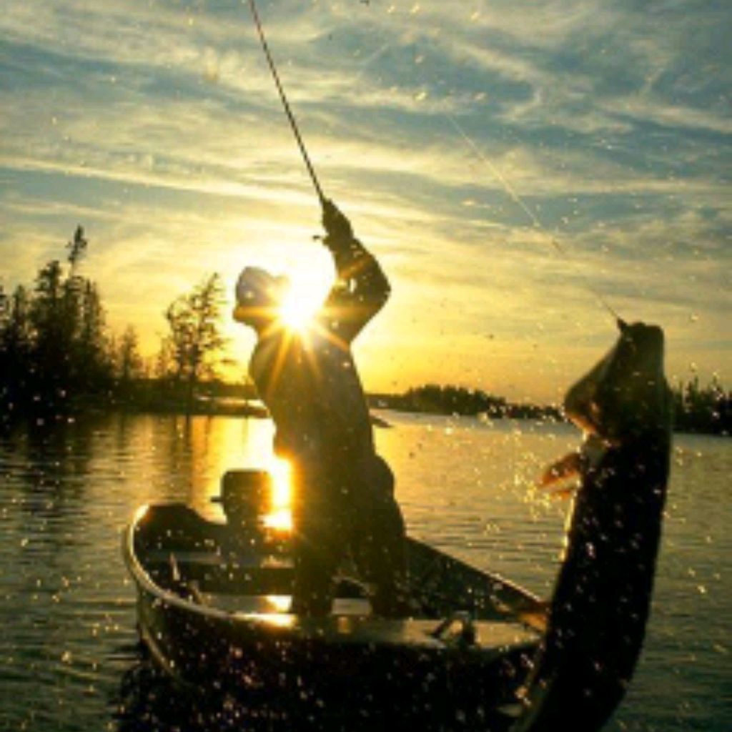 Иконка канала Жизнь у Реки