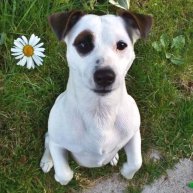 Иконка канала Яркие приятели