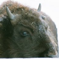 Иконка канала GeorgyGolovin