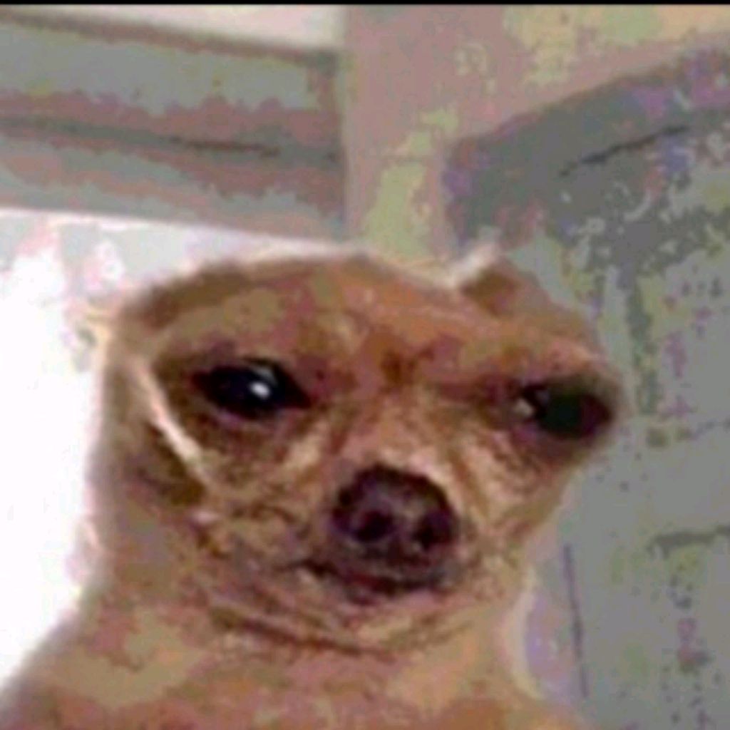 Иконка канала meme.putixsolo