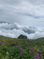 Иконка канала Гостевой дом "Лдзаа"