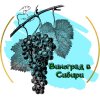 Иконка канала Виноград в Сибири