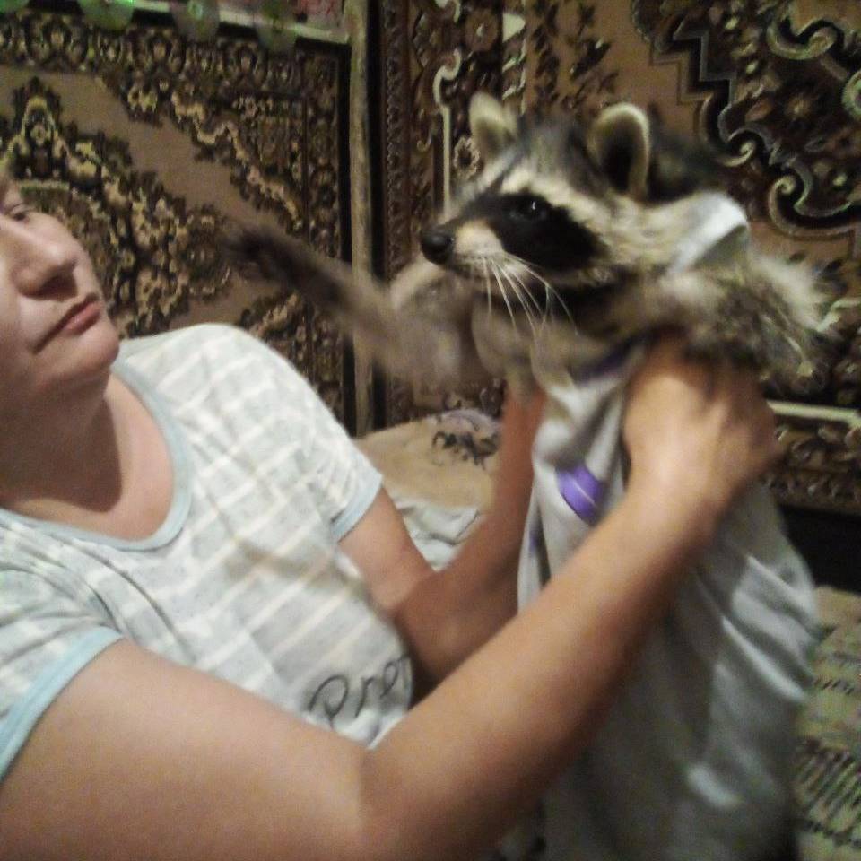 Иконка канала хуторянка