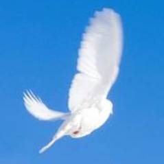 Иконка канала Kids Top Beats