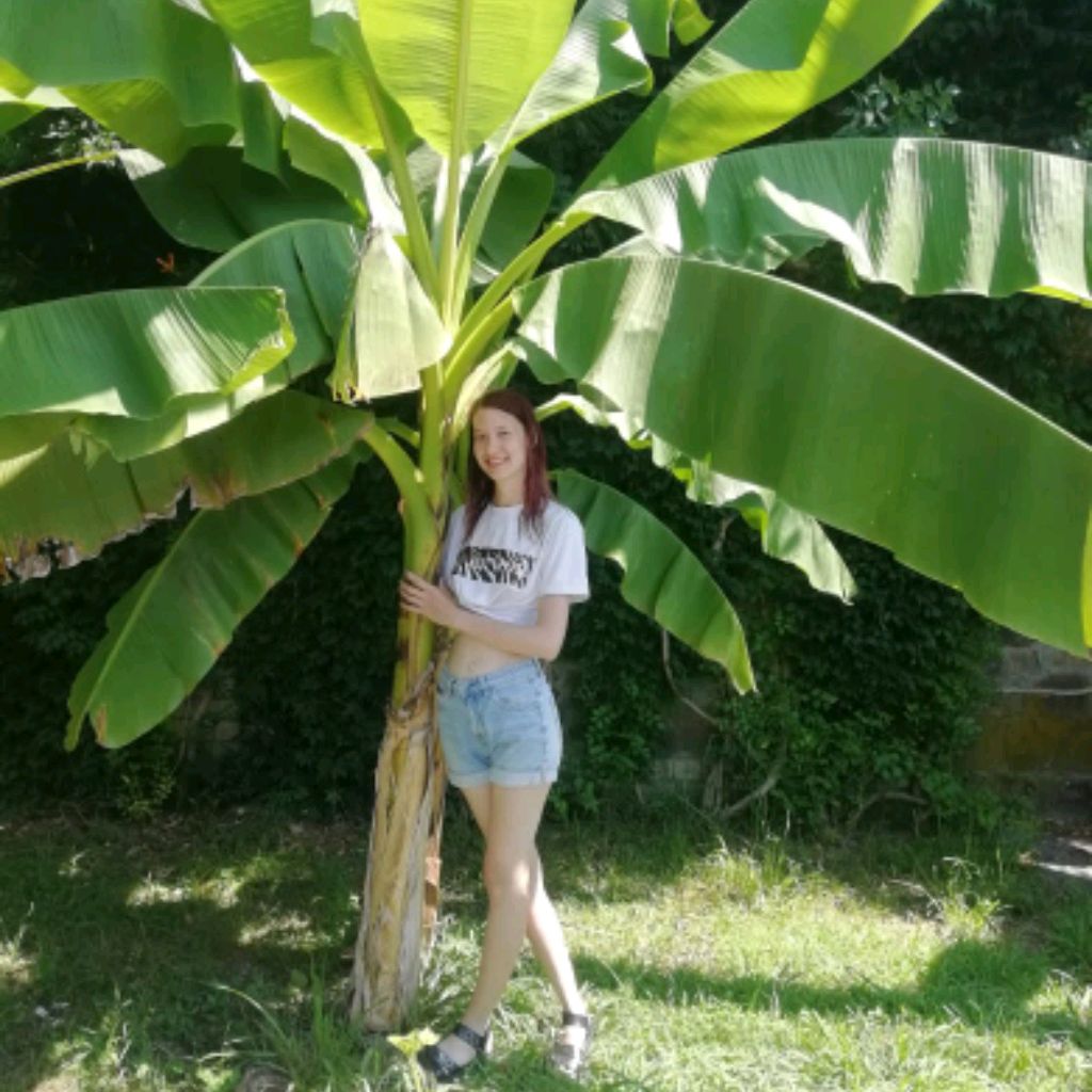 Иконка канала Творчество и жизнь