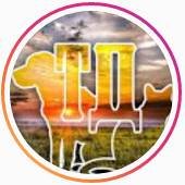 Иконка канала Приют для бездомных животных Твори Добро