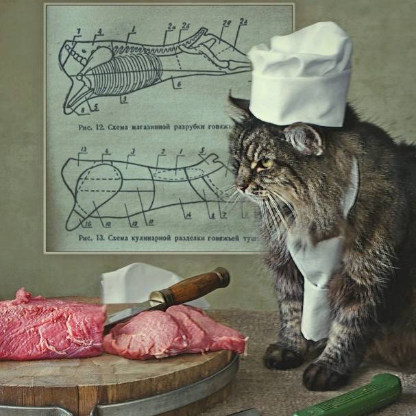 Иконка канала Ваш повар