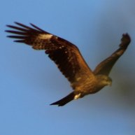 Иконка канала Путешествия и отдых на природе.