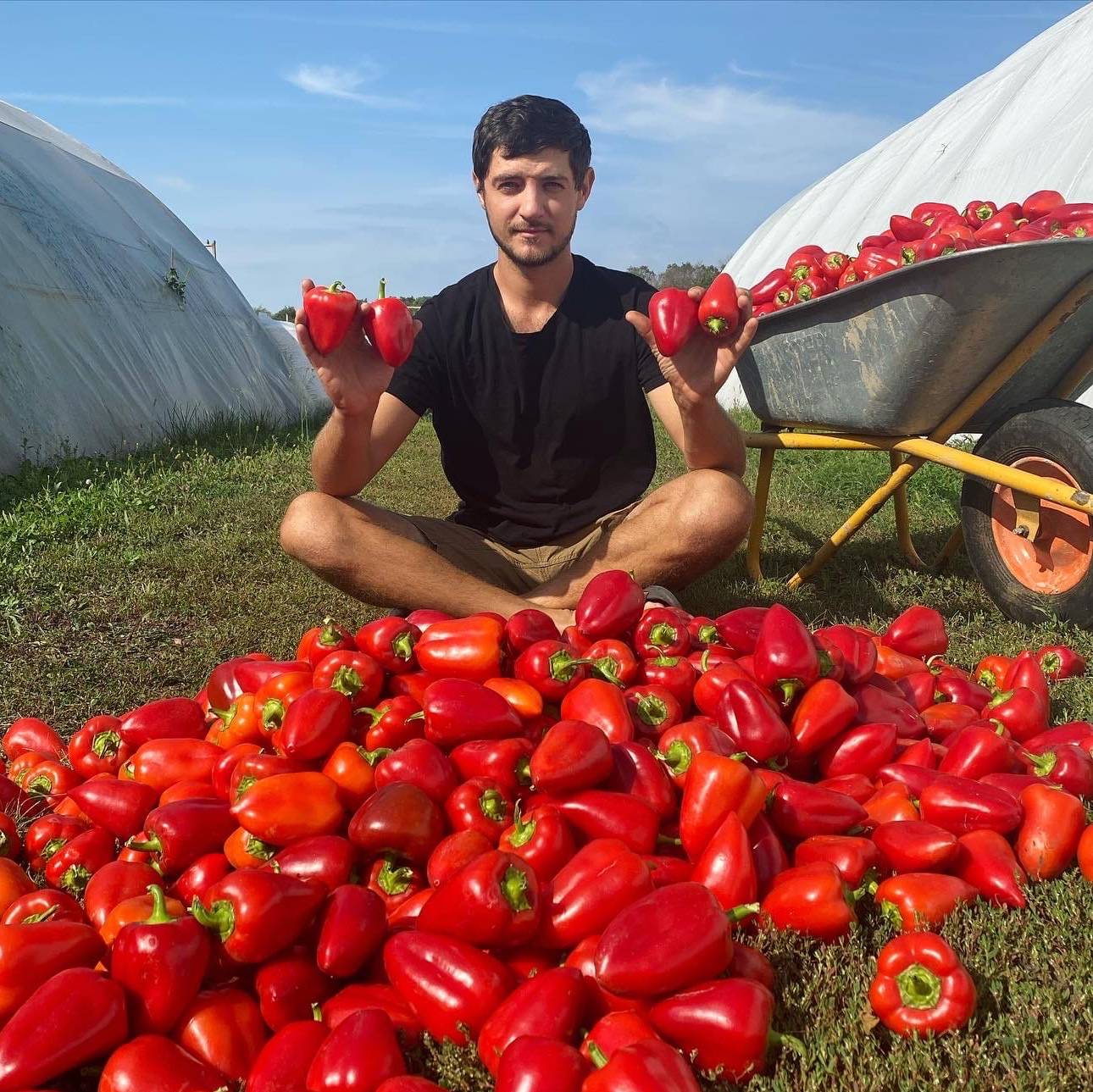 Иконка канала Тепличный бизнес в деревне!